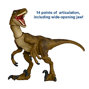 Jurassic World Toys Jurassic Park Hammond Collection Velociraptor Dinosaur Action Figure, 7.5 in Long with 14 Movable Joints, Gift and Collectible