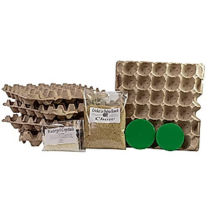 G&T Country Living Dubia Roach Colony Starter Kit with a Pound of Feeder Insect Chow for Earthworms, Hissing Cockroaches, Breeding Insects, Gut Loading, for Reptiles