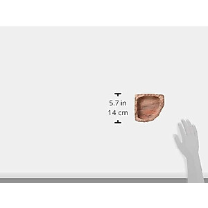 Fluker's Corner Rock Bowl, Food & Water Dish for Hermit Crabs, Medium 6"