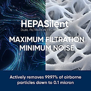 BLUEAIR Pro Air Purifier for Allergies Mold Smoke Dust Removal in Large Office Spaces Homes and Lobbies, Pro L, White