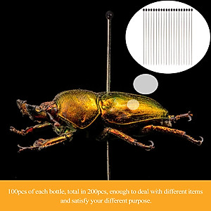 iplusmile 200pcs Specimen Pin Needles Entomology Collection Dissection Ideal School Lab Pinning Kit