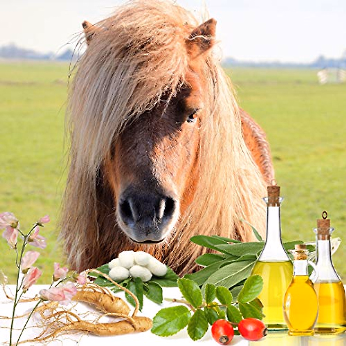 The Blissful Horses Shine-On Detangling Spray, 16-Ounce