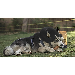 Dogsee Himalayan Yak Milk Dental Chews for Dogs Bulk Pack 3lb (Large - 12 Chews) | Made from only 3 Natural Ingredients | Tasty & Healthy Treats | Original Yak Chews for Dogs