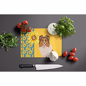 Caroline's Treasures WDK5482LCB Summer Sunflowers Sable Sheltie Glass Cutting Board Large Decorative Tempered Glass Kitchen Cutting and Serving Board Large Size Chopping Board