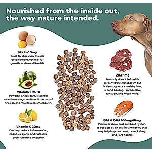 PetScy - Dog Itch Relief with Fatty Acids, EPA, DHA, & Omega for Dogs, Dog Anti-Itch Nutritional Support, Itch Relief Chews for All Ages, Pork Flavor, 30 Chews