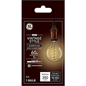GE Lighting VintaStyle LED Globe Light Bulb, 5 Watt (60 Watt Equivalent) Warm Candle Light, Clear Glass, Medium Base, Dimmable (1 Pack)