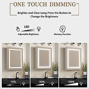 LALAHOO Lighted Medicine Cabinet for Bathroom with Mirror, 20" x 28" LED Bathroom Medicine Cabinet with Lights, Wall Mounted Medicine Cabinets with Storage Shelves, Dimmable Light, Anti-Fog