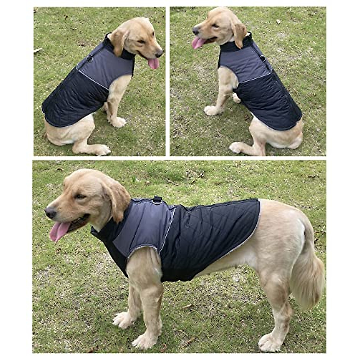 Tineer Dog Winter Jacket Vest for Small Medium Large Dogs, Fleece Lining Warm Coat Waterproof Pet Dog Clothes for Cold Weather (XS, Black)