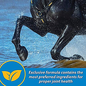 Farnam Fluidflex Liquid Joint Supplement for Horses, Helps maintain healthy hip & joint function, 64 ounces, 64 Day Supply