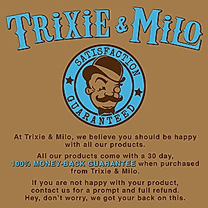 Flasks For Liquor For Men - Flasks For Liquor For Women (Vodka Is Importanter Flask)