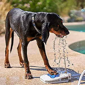 Pet Fit For Life Dog Pedal Water Fountain - Step-On Dog Sprinkler/Water Hose Dog Toy for Drinking and Water-Play, Includes Giant Tennis Ball