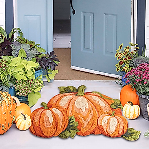 FRJINIE Thanksgiving Pumpkin Rug - 31"×22", Non Slip Washable Welcome Door Mat, Cute Fall Doormats for Indoor Outdoor Entrance Home Bathroom Living Room (D)
