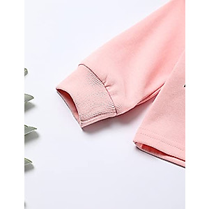 Menglang Toddler Girl Clothes Outfits Baby Girl Cropped Hoodie Pants Fall Winter Sweatshirt Set 2T Girl Clothes 3T