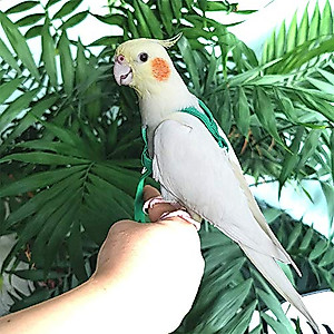 ASOCEA Adjustable Feather Tether Bird Harness and Leash for Macaw Cockatoos Amazon Parrot Medium to Large Breed Parrots Fits Birds Chest Between 33-50cm/13-19.7inch - M