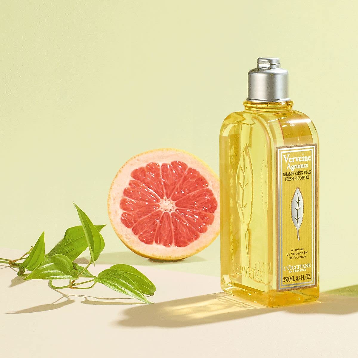 L’OCCITANE Citrus Verbena Shampoo 8.4 Fl. Oz: Sparkling Grapefruit and Lemon Scent, Enriched With Organic Verbena Extract, Gently Cleanse, Reveal Shine