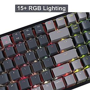 Keychron K4 Wireless Bluetooth/USB Wired Gaming Mechanical Keyboard, Compact 100 Keys 96% Layout RGB LED Backlit Gateron G Pro Red Switch N-Key Rollover, Aluminum Frame for Mac Windows, Version 2