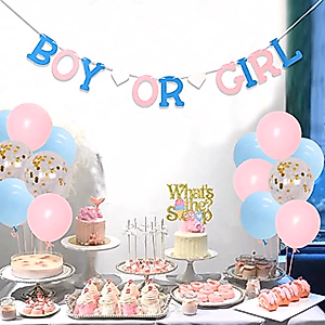 Boy or Girl Gender Reveal Banner - Gender Reveal Baby Shower Banner , Pink or Blue Gender Reveal Banner , He or She Gender Reveal Sign , Baby Shower Party Supplies (BOY OR GIRL BANNER)