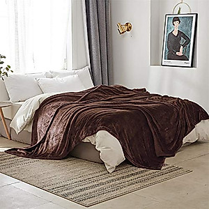 VEEYOO Flannel Fleece Blanket Queen Size - Brown Throw Blankets for Couch Soft Lightweight Sofa Blankets and Throws Fuzzy Cozy Microfiber Blankets for Adults, Picnic (90x90 Inch Bed Throws)