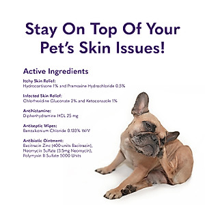 MySimplePetLab Skin & Itch Care Dog Kit | Ketoconazole and Chlorhexidine Anti-Itch Dog Spray | Hot Spot Treatment Itch Relief for Dogs | Hydrocortisone Spray Hypoallergenic Shampoo for Itchy Skin