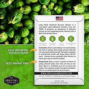 Survival Garden Seeds - Long Island Improved Brussels Sprouts for Planting - 3 Packs with Instructions to Plant and Grow Delicious Sweet Sprouts in the Home Vegetable Garden - Non-GMO Heirloom Variety