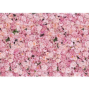 Pink Rose Flowers Wall Photo Background Girls Birthday Party Decoration Photography Backdrop for Valentine's Day Weeding Bridal Shower Anniversary Ceremony Decor Banner 7x5ft