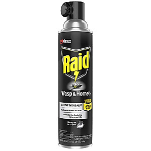 Raid Wasp & Hornet Killer Spray, 17.5 OZ (3 Pack)