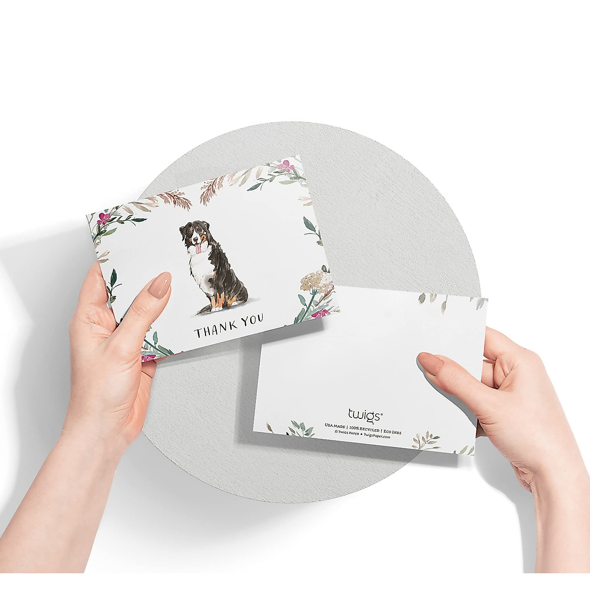 Twigs Paper Thank You Cards Dogs Design - 12 Assorted Dogs Thank You Cards with Envelopes - Made in USA Greeting Card - Eco Friendly Blank Cards and Envelopes - 5.5 x 4.25 Size Appreciation Cards