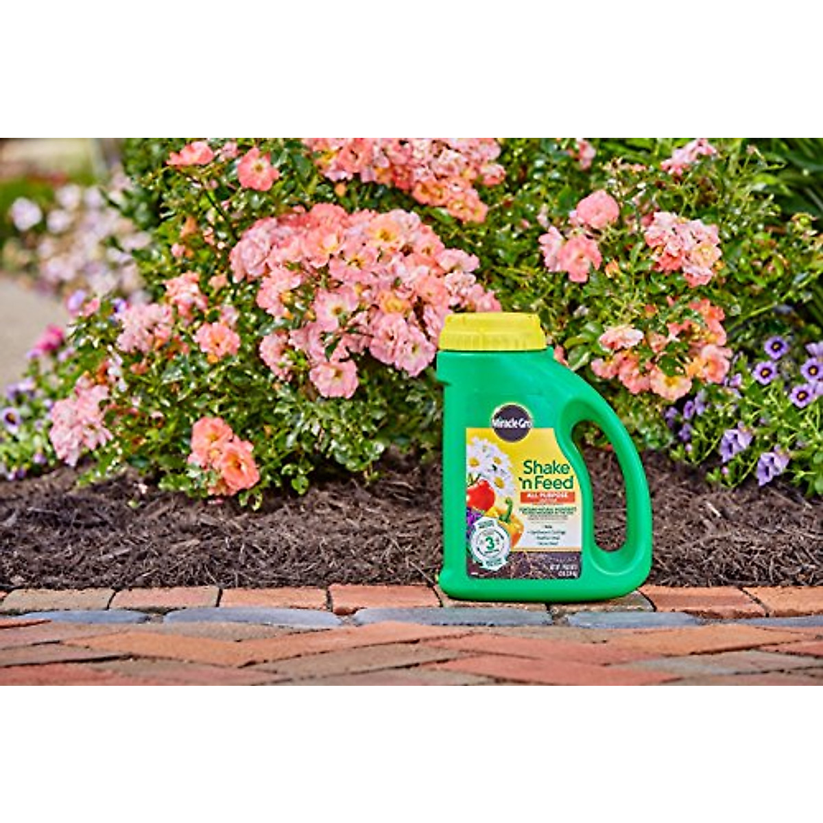 Miracle-Gro Shake 'N Feed All Purpose Plant Food, Plant Fertilizer, 4.5 lbs. (6-Pack)