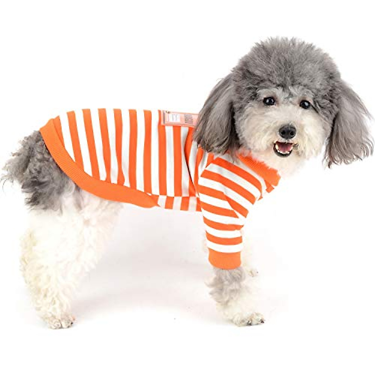 Zunea Dog Shirts for Small Dogs Girl Boy Summer Puppy Vest Clothes Soft Cotton Striped Sun Protection Tee Shirt Short Sleeve Pet Dog Chihuahua Apparel Cat Clothing Orange XL