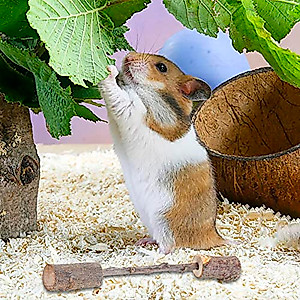 DAMPET Hamster Chew Toys, Hamster Activity Toys, Gerbil Rat Guinea Pig Chinchilla Chew Toys, Toys Accessories for Teeth Care,Natural Apple Wood Toys for Hamster, Rabbits, Bunny, Gerbil (Style 3)