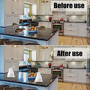 24 Pack Rat Repellent Peppermint Oil Rat Repellent, Mouse Repellent for Car Campers Outdoors Indoor Garage