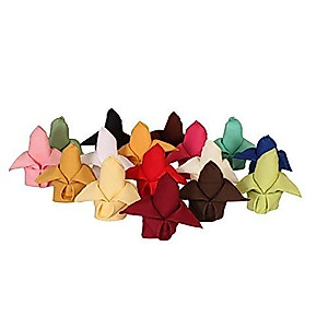 Your Chair Covers - 20 Inch Square Premium Polyester Cloth Napkins. Oversized, Double Folded and Hemmed Table Napkins for Restaurant, Bistro, Wedding - (Blush) (Pack of 10)