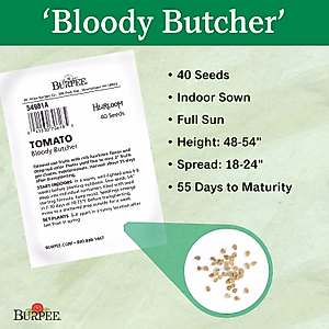 Burpee 'Bloody Butcher' | Red Beefsteak Slicing Tomato | 40 Seeds