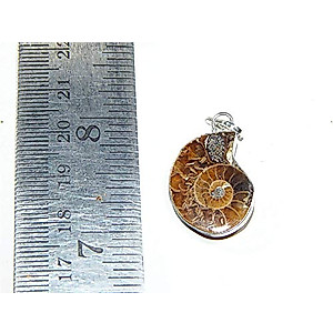 XUETZALCOATL Shaligram Locket Rare Energized 1 Pcs