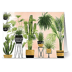 All Occasion Greeting Cards Assortment – 72 Pack - 6 Unique Indoor Oasis Design Series Set – KRAFT ENVELOPES INCLUDED – Blank Greeting Card – Glossy Cover Blank Inside – By Note Card Café