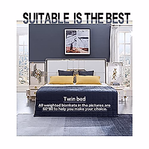 RJOP Cooling Weighted Blanket(60''x80'' 15lbs,Queen Size),Adults Heavy Blanket with Premium Cozy Cotton and Natural Glass Beads,Dark Grey