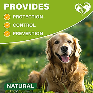 Natural Flea & Tick Collar for Dogs - 6 Months Control of Best Prevention & Safe Treatment - Anti Fleas and Ticks Essential Oil Repellent (1 Pack, 2 Count)