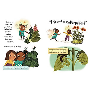 The Story of a Butterfly: Learn about the life cycle and habitat of the Painted Lady