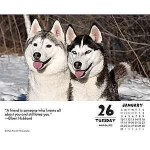 What Dogs Teach Us 2021 Box Calendar
