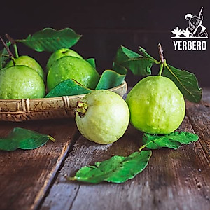 Yerbero - Hoja De Guayaba Entera (.75 oz - 22gr) Whole Dried Guava Leaf | 100% All Natural Delicious| 20+ Servings | From Mexico.