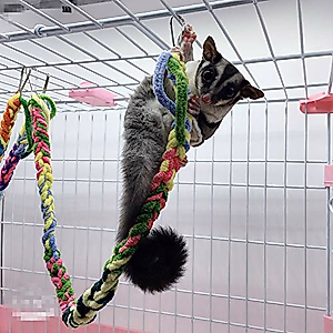 RIOUSSI Handmade Hanging Sugar Glider and Rat Toys for Climbing/Exercising/Jungle Exploration, Cage Accessories, Random Color, 4 Pack