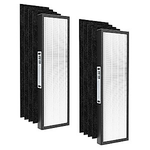 2-Pack FLT4825 Filter B Replacement Compatible with AC4825E, AC4850PT, AC4900, AC4300, H13 True HEPA Filter with Pet Pure Treatment, Replace Model FLT4825&FLT4850PT