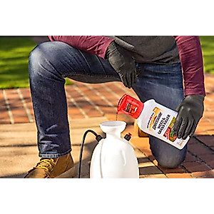 Spectracide Weed and Grass Killer Concentrate, 32 Ounces, With Accumeasure System