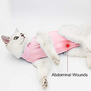Cat Professional Recovery Suit for Abdominal Wounds or Skin Diseases, E-Collar Alternative for Cats and Dogs, After Surgery Wear, Home Clothing (M, Pink)