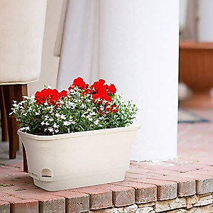 Amazing Creation Self Watering Planters Rectangular Planter Box, Windowsill Garden Bed, Planters for Outdoor Plants, Planters for Indoor Plants, Flowers, Herbs, Succulents, Beige, (2 Pack)