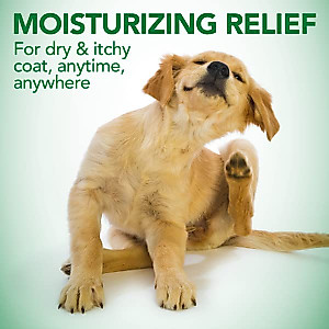 Vet's Best Moisture Mist Dog Dry Skin Conditioner| Dog Conditioner and Detangler Spray | Relieves Itchy Skin, Refreshes & Soothes | 16 oz