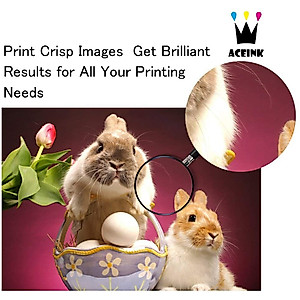 AceInk Compatible Ink Cartridges Replacement for Brother LC51 Ink Cartridges, Work for Brother MFC-240C MFC-440CN MFC-465CN MFC-665CW Printer 48-Pack (12 Black,12 Cyan, 12 Magenta, 12 Yellow)