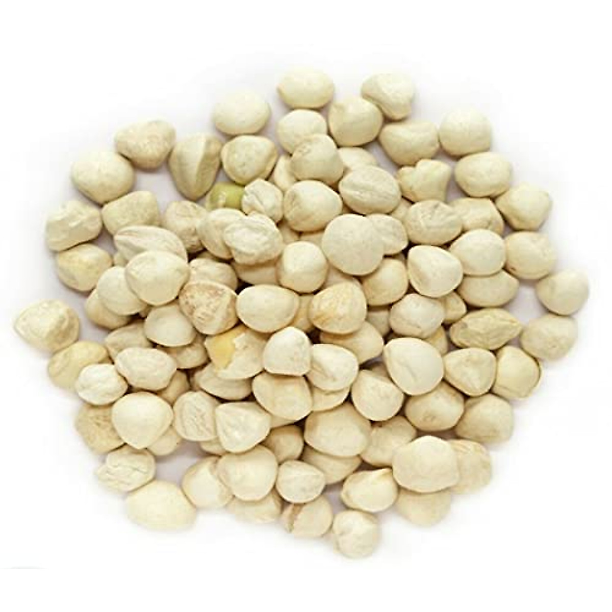 Moringa Seeds Kernel Shelled 16 oz. / 1 lb. - Clean PKM1 Variety - Edible - Moringa Oleifera - Malunggay - Semillas De Moringa - Drumstick Tree - Non-GMO - 2000 to 2400 Seeds Approx.