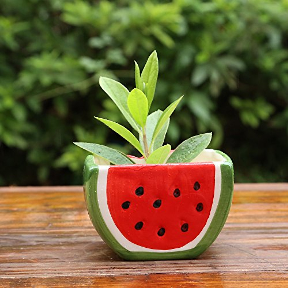 WAIT FLY Set of 3 Cute Watermelon Shape Ceramics Planters Gardening Pots Decoration for Cactus Succulent Flower Decoration for Home Garden