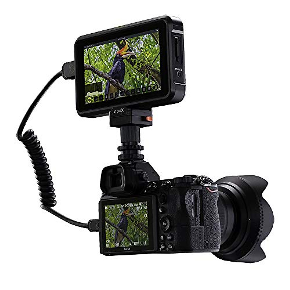 Atomos Shinobi 5.2" 4K HDMI Monitor Bundle with Lithium-Ion Battery, AC/DC Charger & Screen Cleaning (5-Pack)